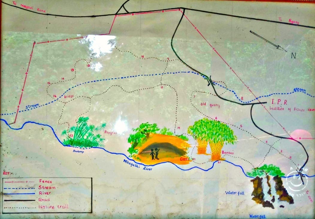 Oloolua Nature trail Nairobi. Exposed (2022) - Into Safaris