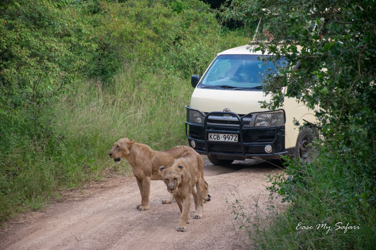 Tsavo safari packages from Nairobi/Mombasa - Into Safaris